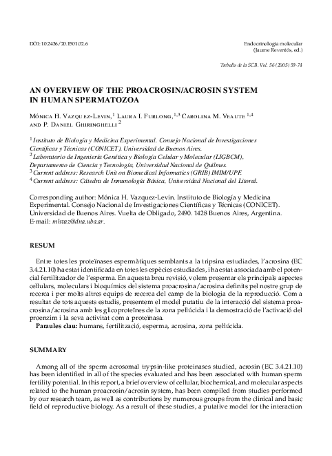 (PDF) An Overview of the Proacrosin/Acrosin System in Human Spermatozoa