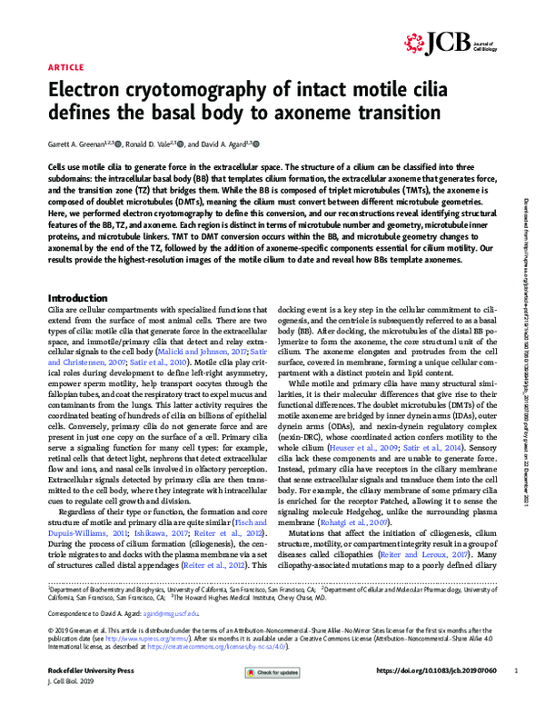 (PDF) Electron cryotomography of intact motile cilia defines the basal body to axoneme transition