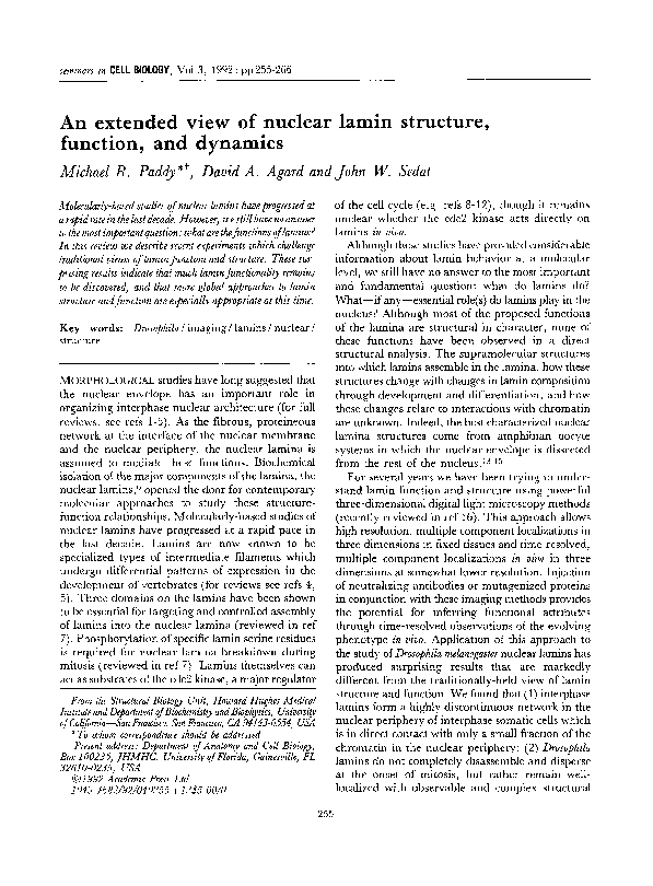 (PDF) An extended view of nuclear lamin structure, function, and dynamics