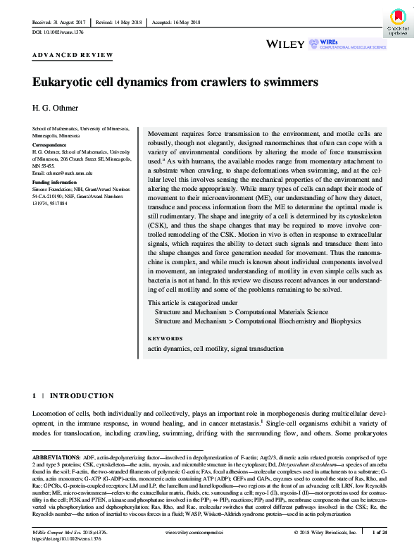 (PDF) Eukaryotic cell dynamics from crawlers to swimmers | Hans Othmer ...