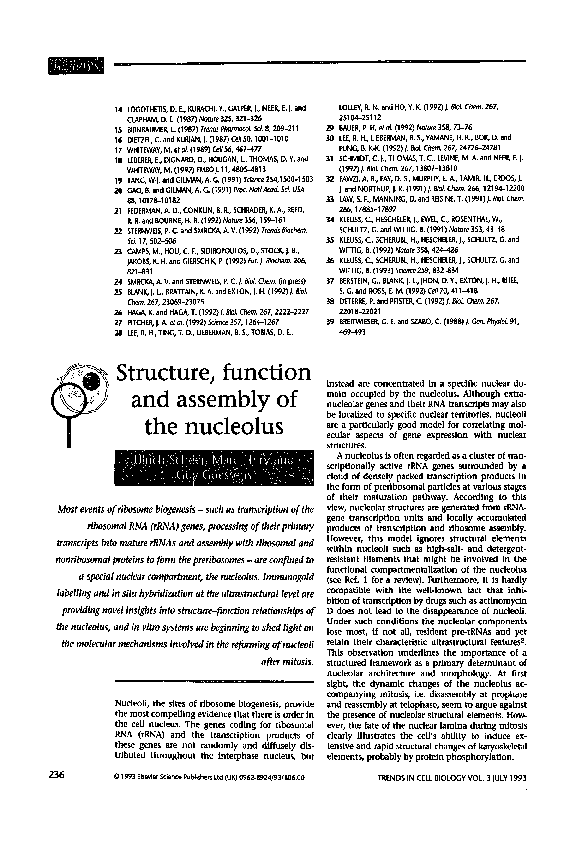 (PDF) Structure, function and assembly of the nucleolus