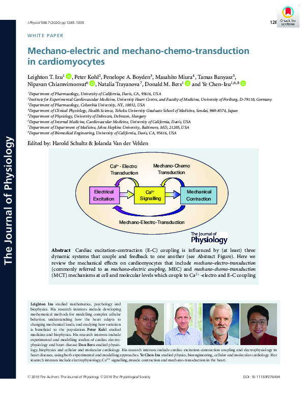(PDF) Mechano‐electric and mechano‐chemo‐transduction in cardiomyocytes