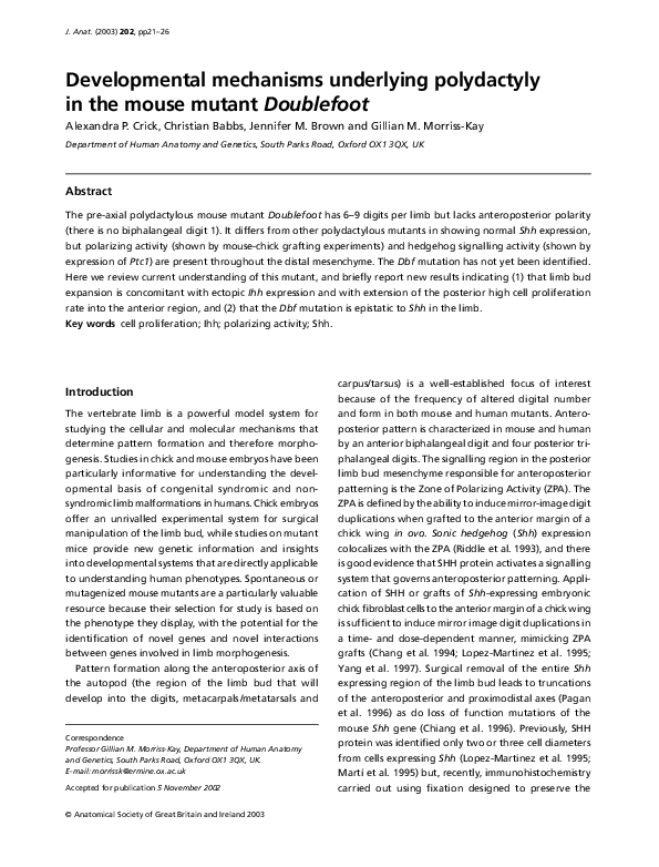 (PDF) Developmental mechanisms underlying polydactyly in the mouse ...