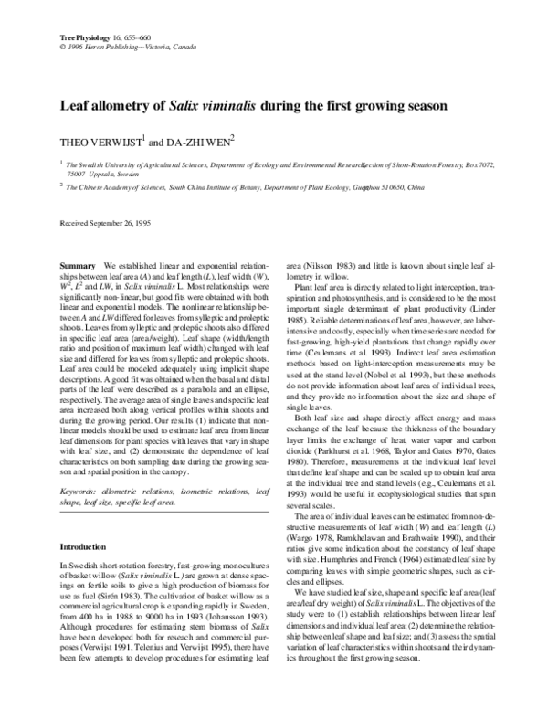 (PDF) Leaf allometry of Salix viminalis during the first growing season