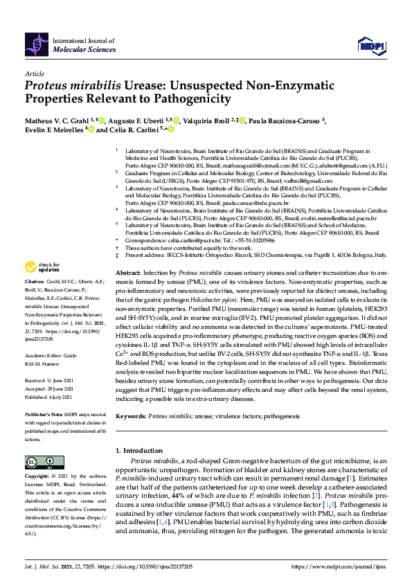 (PDF) Proteus mirabilis Urease: Unsuspected Non-Enzymatic Properties ...