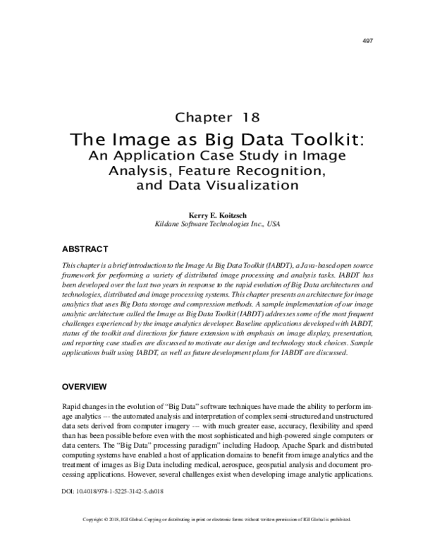 (PDF) The Image as Big Data Toolkit