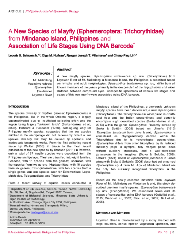(PDF) A New Species of Mayfly (Ephemeroptera: Tricorythidae) from ...