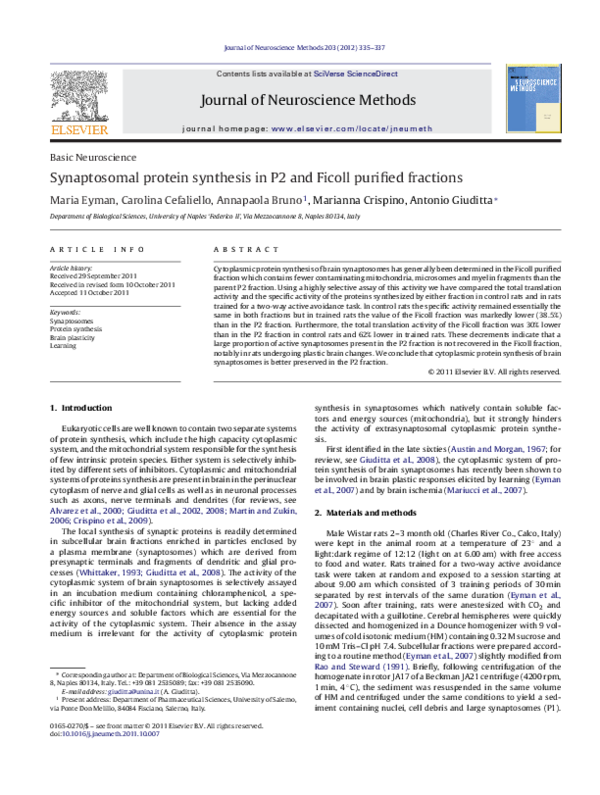 (PDF) Synaptosomal protein synthesis in P2 and Ficoll purified fractions