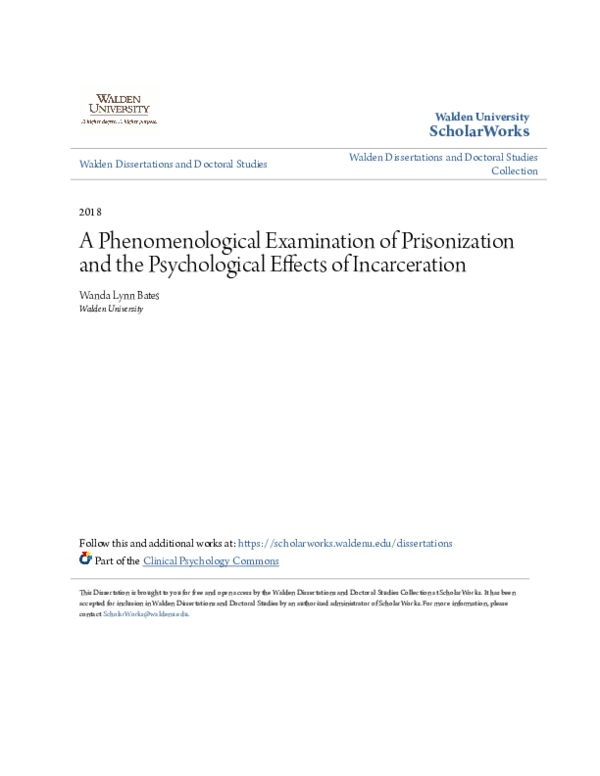 (PDF) A Phenomenological Examination of Prisonization and the ...