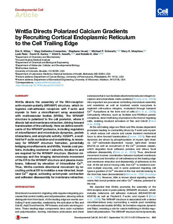 (PDF) Wnt5a Directs Polarized Calcium Gradients by Recruiting Cortical ...
