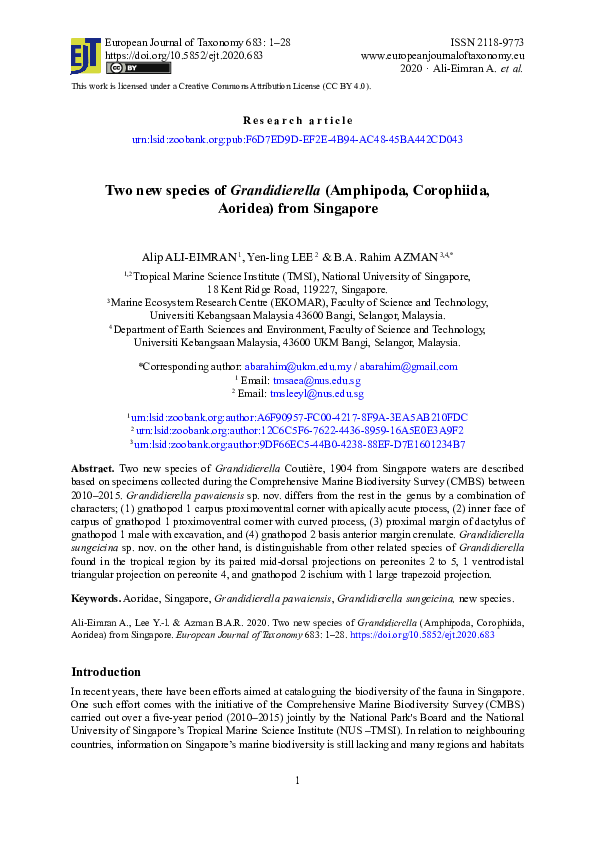 (PDF) Two new species of Grandidierella (Amphipoda, Corophiida, Aoridea ...