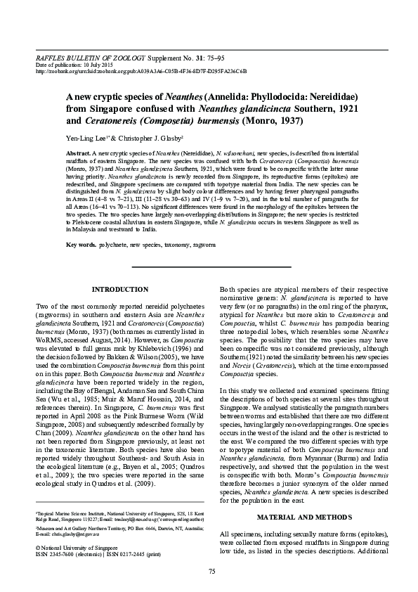 (PDF) A new cryptic species of Neanthes (Annelida: Phyllodocida ...