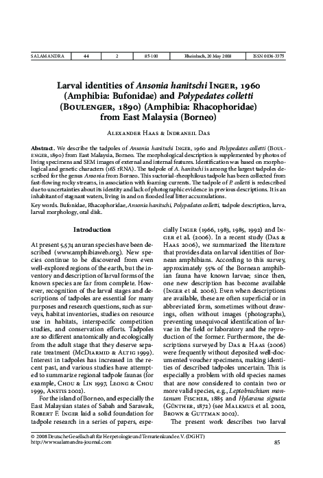 (PDF) Larval identities of Ansonia hanitschi Inger, 1960 (Amphibia ...