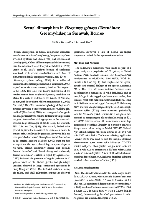 (PDF) Sexual dimorphism in Heosemys spinosa ( Testudines : Geoemydidae ...