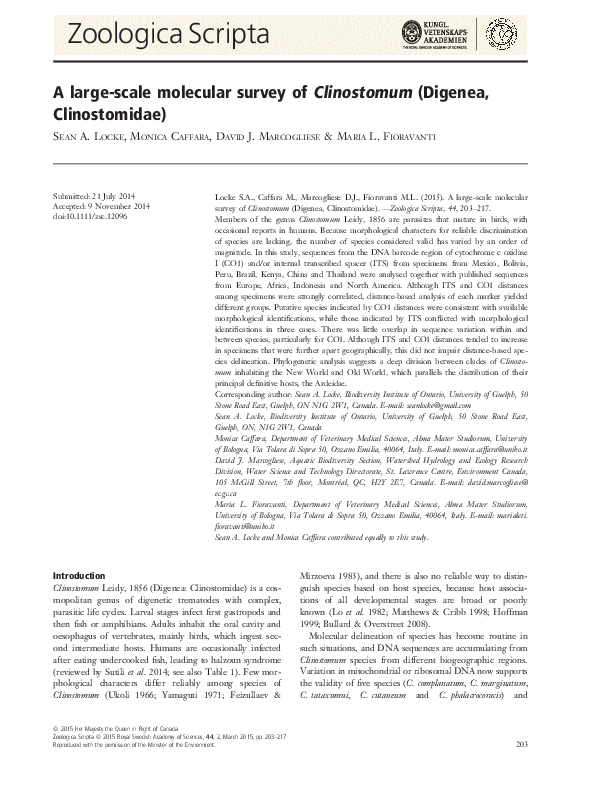 (PDF) A large-scale molecular survey of Clinostomum (Digenea ...