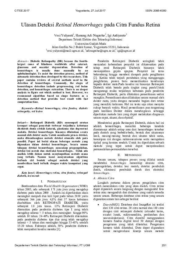 (PDF) Ulasan Deteksi Retinal Hemorrhages pada Citra Fundus Retina ...