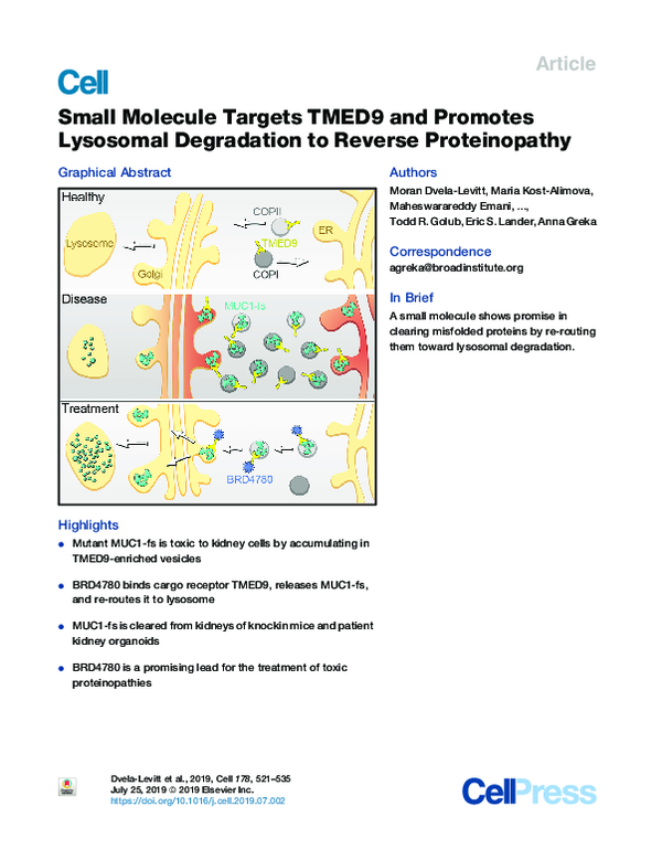 (PDF) Small Molecule Targets TMED9 and Promotes Lysosomal Degradation ...