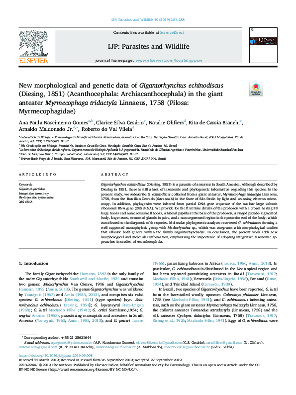 (PDF) New morphological and genetic data of Gigantorhynchus ...
