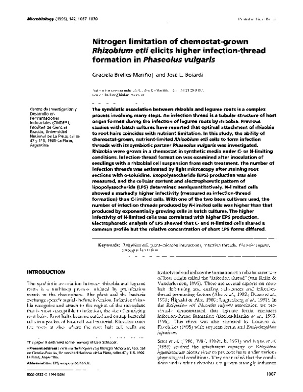 (PDF) Nitrogen limitation of chemostat-grown Rhizobium etli elicits ...