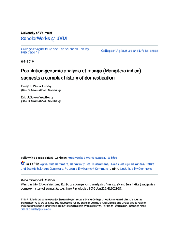 Population Genomic Analysis Of Mango Manera Indica Suggests A Complex History Of 