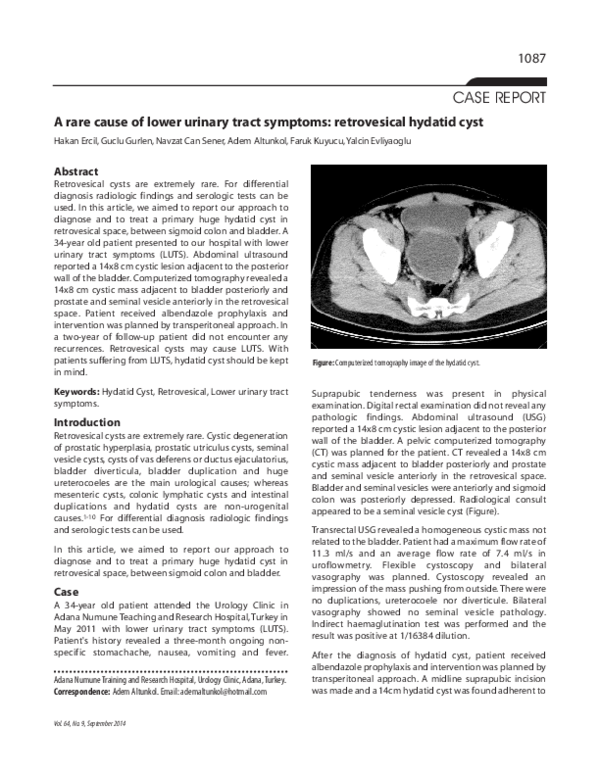 (PDF) A rare cause of lower urinary tract symptoms: retrovesical ...