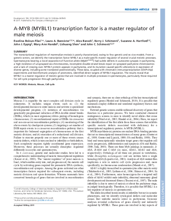 (PDF) A-MYB (MYBL1) transcription factor is a master regulator of male ...