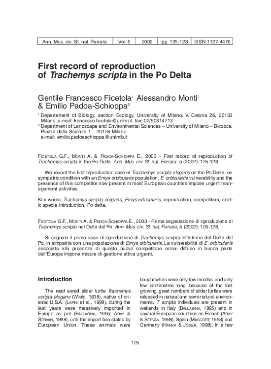 (PDF) First record of reproduction of Trachemys scripta in the Po Delta