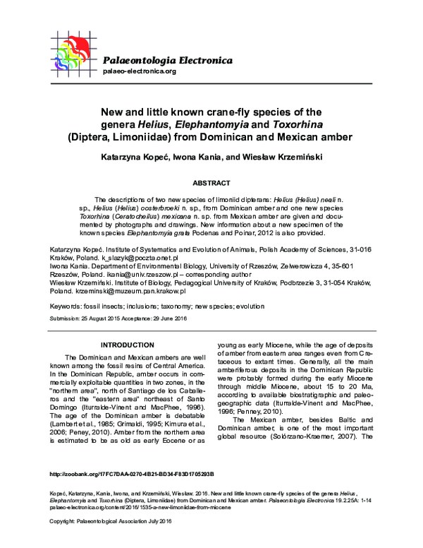 (PDF) New and little known crane-fly species of the genera Helius ...