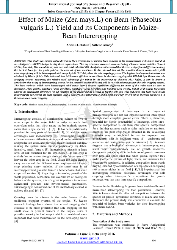 (PDF) Effect of Maize (Zea mays.L) on Bean (Phaseolus vulgaris L.) Yield and its Components in ...