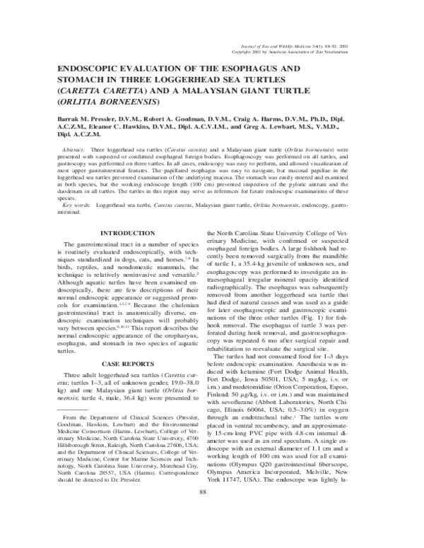 (PDF) Endoscopic evaluation of the esophagus and stomach in three ...