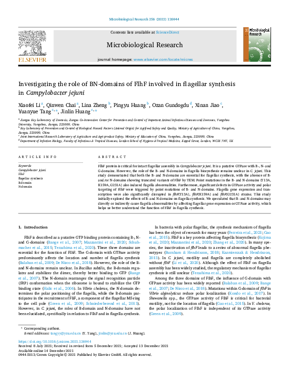 (PDF) Investigating the role of BN-domains of FlhF involved in ...