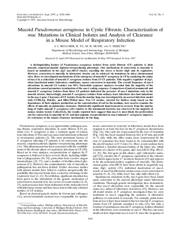 (PDF) Mucoid Pseudomonas aeruginosa in cystic fibrosis ...