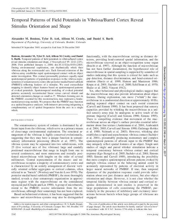 (PDF) Temporal Patterns of Field Potentials in Vibrissa/Barrel Cortex Reveal Stimulus ...