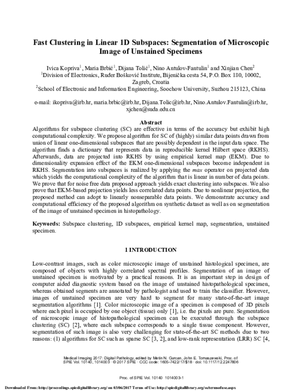 (PDF) Fast clustering in linear 1D subspaces: segmentation of microscopic image of unstained ...