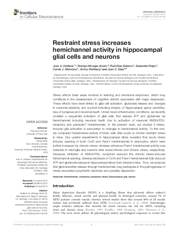 (PDF) Restraint stress increases hemichannel activity in hippocampal ...