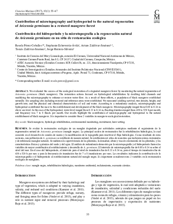 (PDF) Contribution of microtopography and hydroper of Avicennia ...