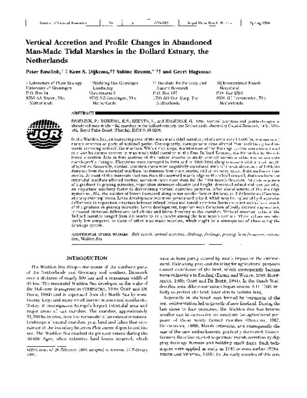 (PDF) Vertical accretion and profile changes in abandoned man-made ...