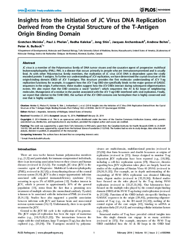 (PDF) Insights into the Initiation of JC Virus DNA Replication Derived ...