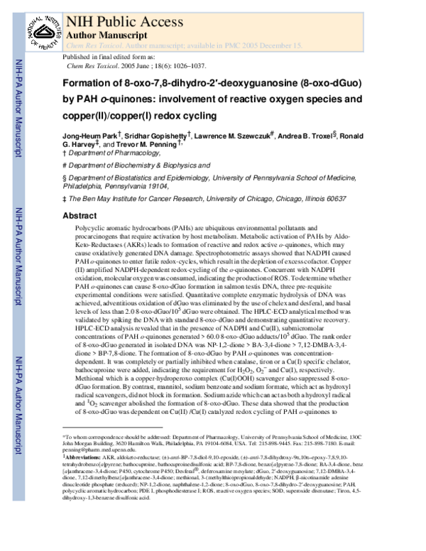 (PDF) Formation of 8-Oxo-7,8-dihydro-2‘-deoxyguanosine (8-Oxo-dGuo) by ...