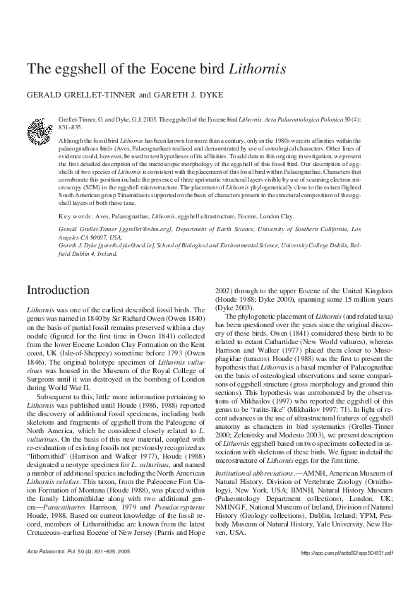 (PDF) The eggshell of the Eocene bird Lithornis