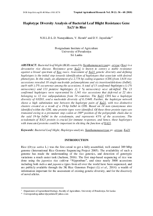 (PDF) Haplotype diversity analysis of bacterial leaf blight resistance gene Xa21 in rice ...