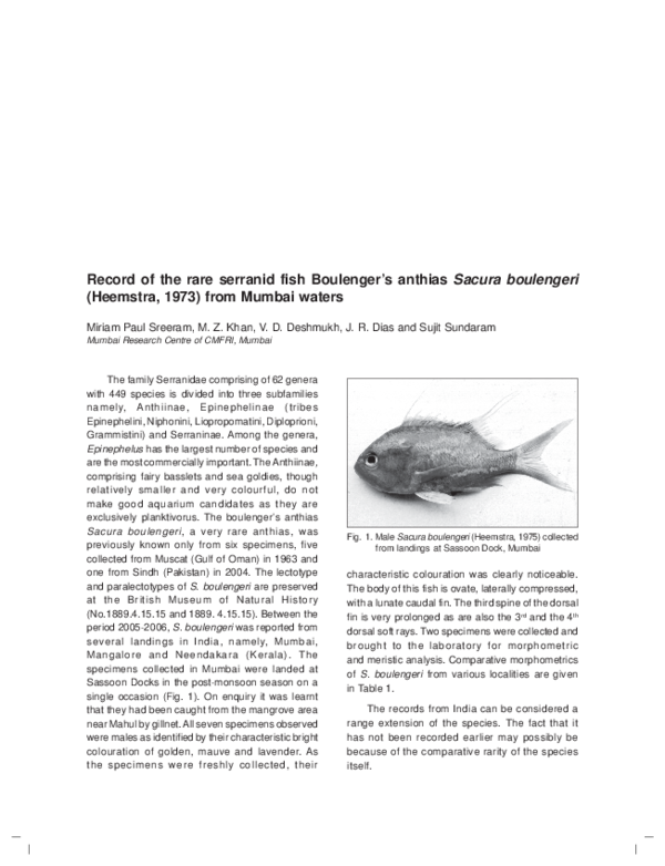 (PDF) Record of the rare serranid fish Boulenger’s anthias Sacura ...