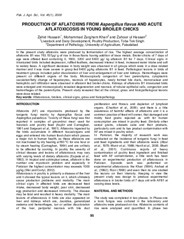 (PDF) PRODUCTION OF AFLATOXINS FROM Aspergillus flavus AND ACUTE ...