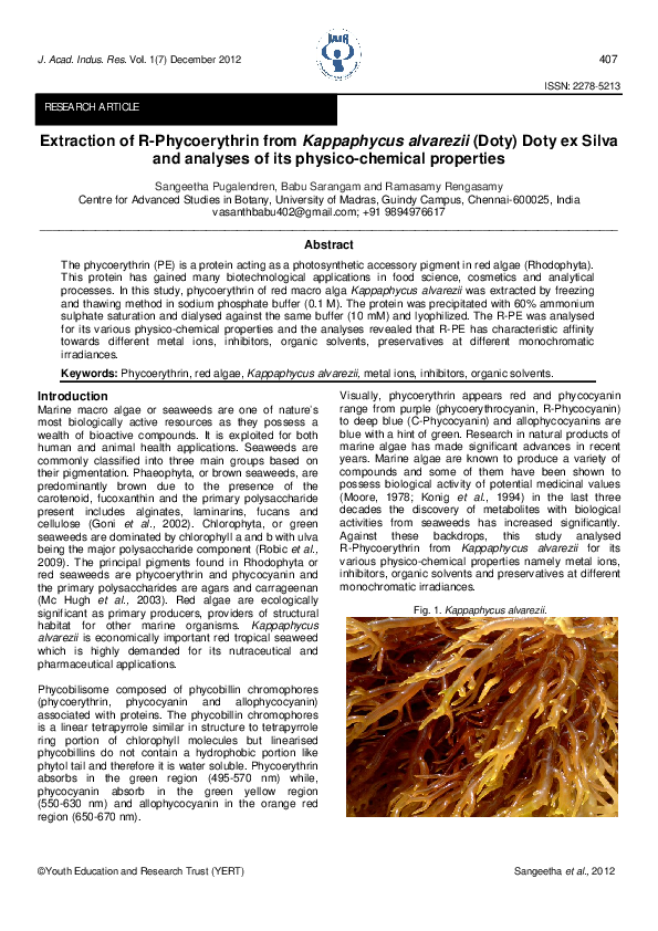 (PDF) Extraction of R-Phycoerythrin from Kappaphycus alvarezii (Doty ...