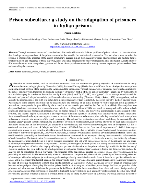 (PDF) Prison subculture: a study on the adaptation of prisoners in ...