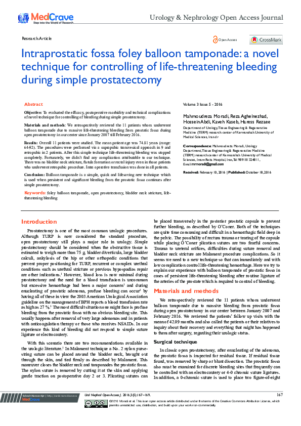 (PDF) Intraprostatic Fossa Foley Balloon Tamponade: A Novel Technique ...