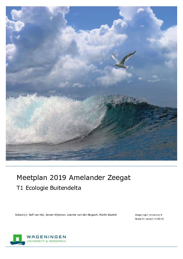 (PDF) Meetplan 2019 Amelander Zeegat : T1 Ecologie buitendelta