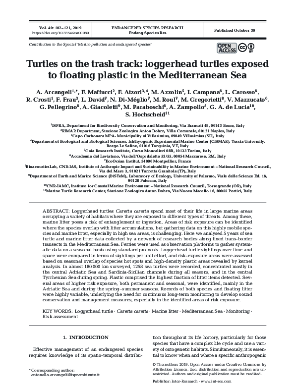 (PDF) Turtles on the trash track: loggerhead turtle exposed to floating ...