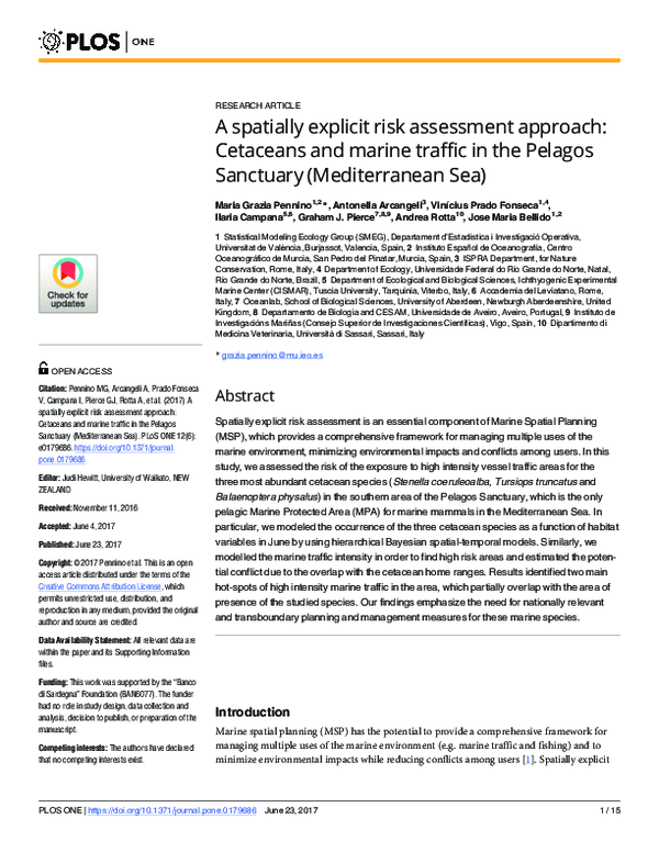 (PDF) A spatially explicit risk assessment approach: Cetaceans and ...