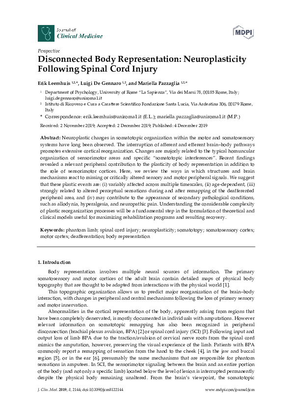 (PDF) Disconnected Body Representation: Neuroplasticity Following ...